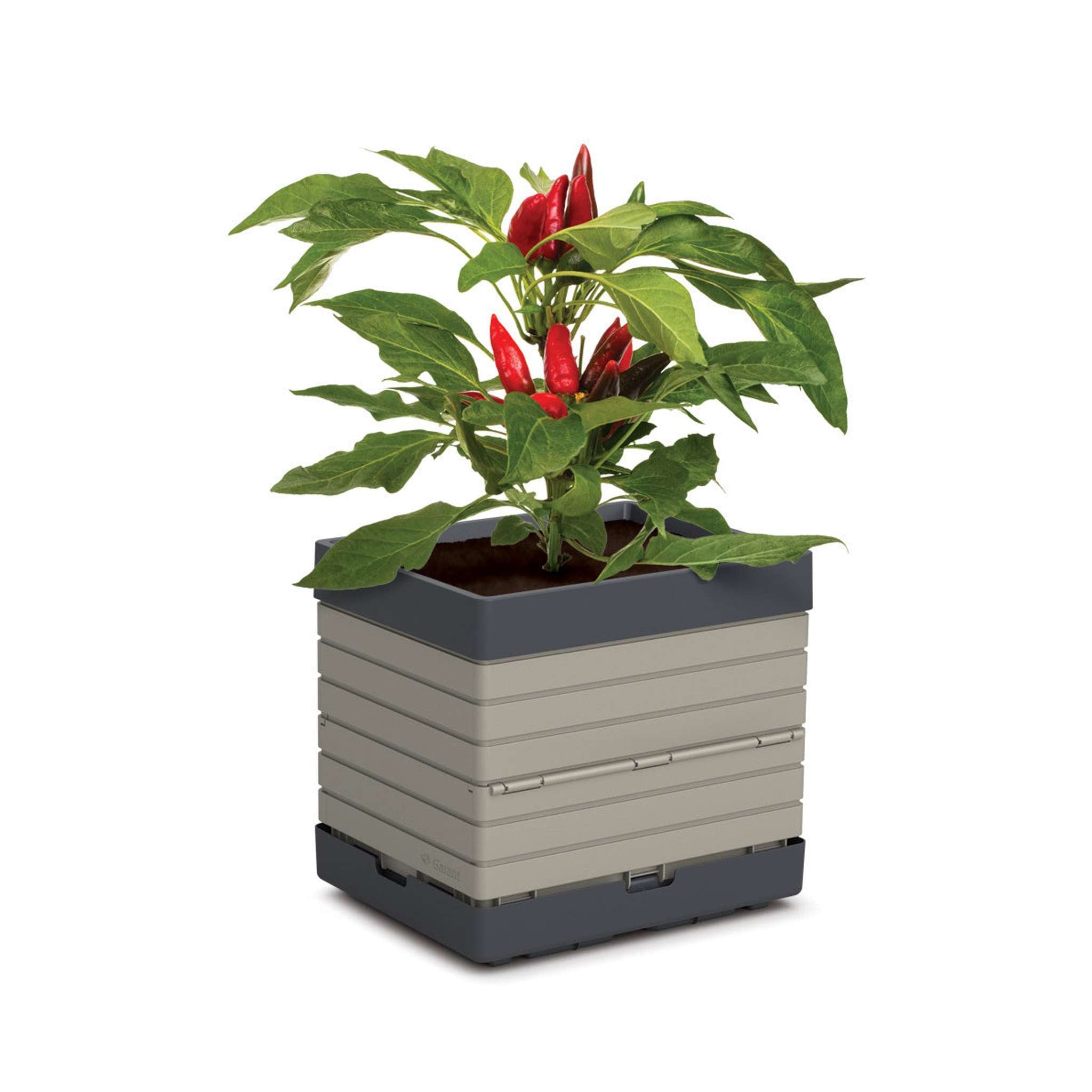 Individual bin, 14x11x13", polypro greige M3 modular garden – Garant