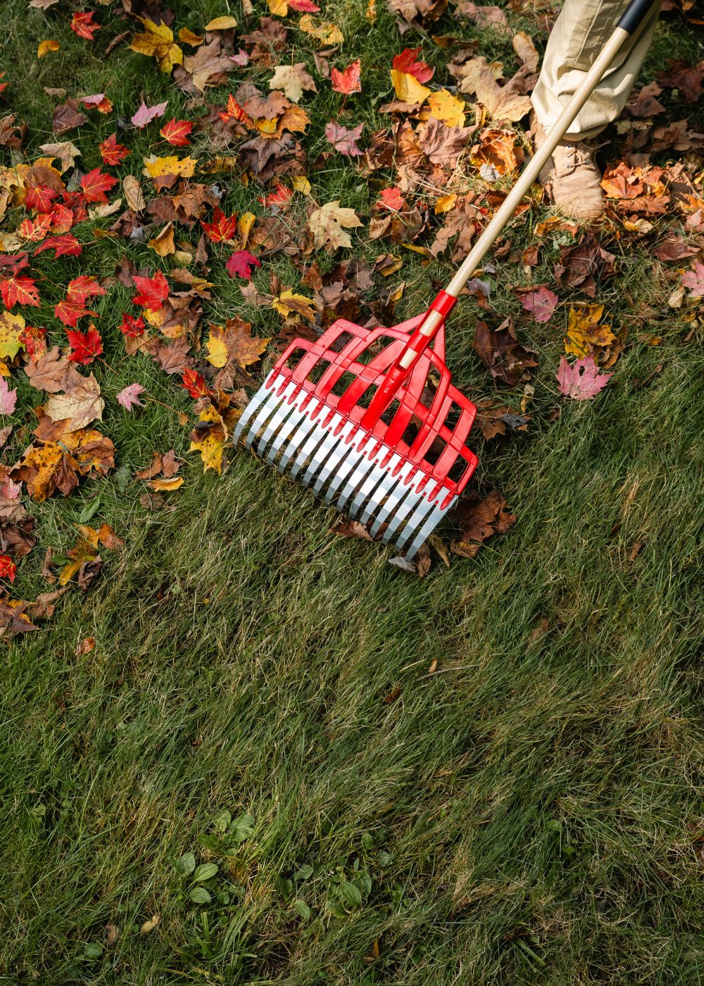 Garant - Solide Allié