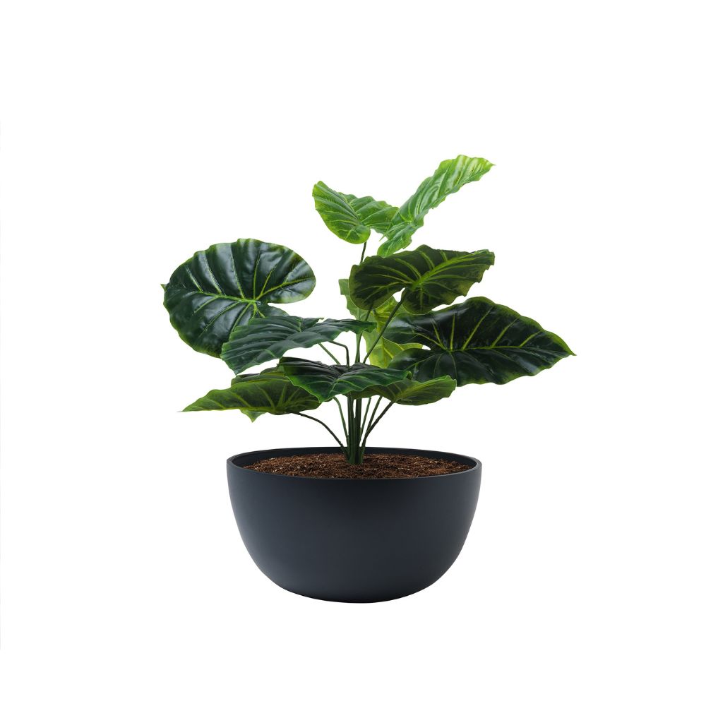 12-inch Urban Bowl – Garant