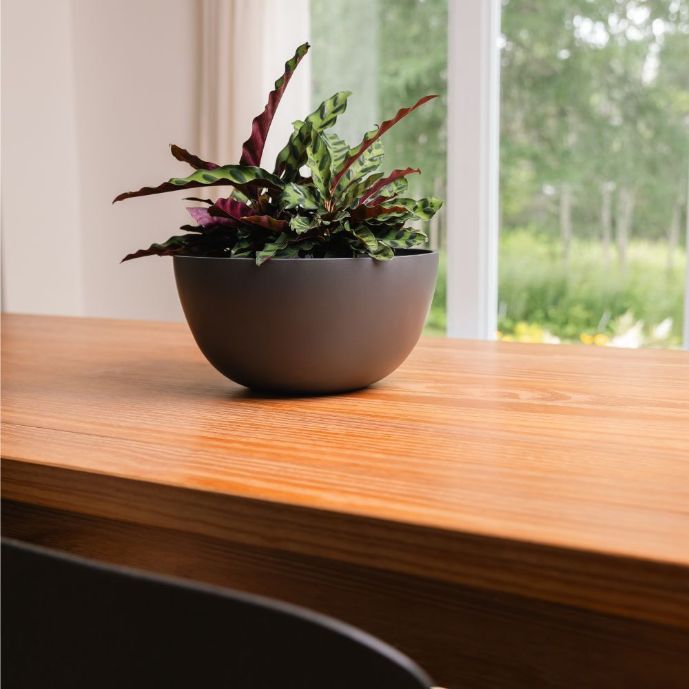 12-inch Urban Bowl – Garant